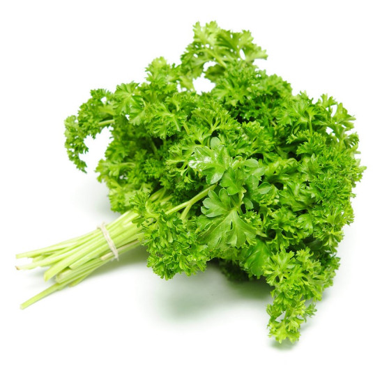 Persil - Vente Petroselinum crispum - Plant
