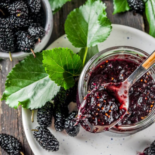 Morus rubra 'Illinois Everbearing' | mesArbustes.com