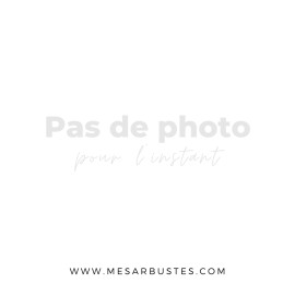 Pittosporum tenuifolium 'Silver Magic' - Pittospore à petites feuilles