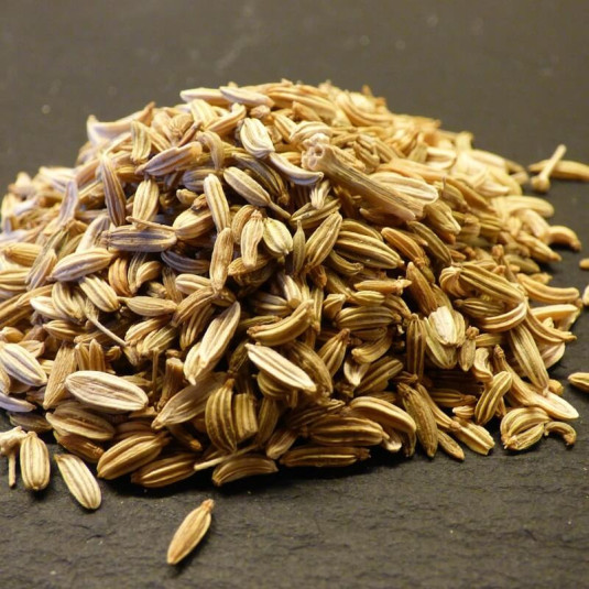Fenouil commun - Foeniculum vulgare - Vente Aneth doux
