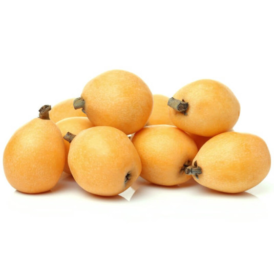 Néflier du Japon 'Golden nugget' – Vente Eriobotrya japonica - Plant de ...