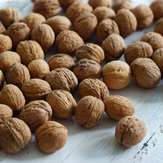 Noyer très productif - Vente Juglans regia 'Fernette'