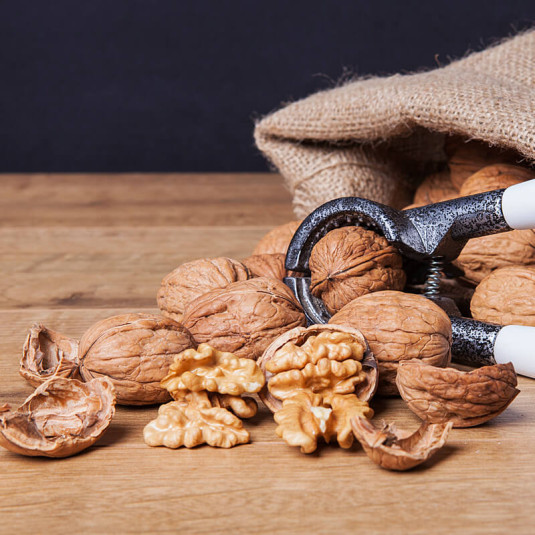 Noyer très productif - Vente Juglans regia 'Fernor'